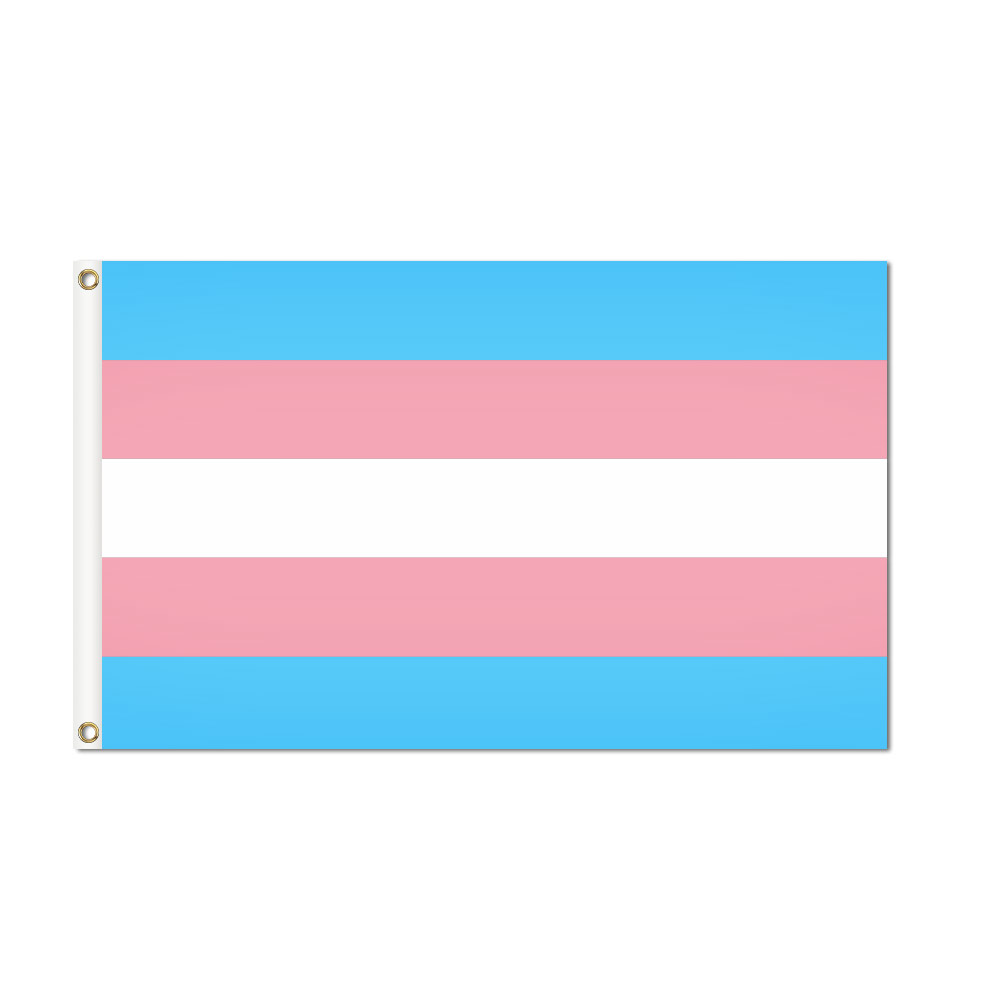 Transgender Pride Flag - National Capital Flag